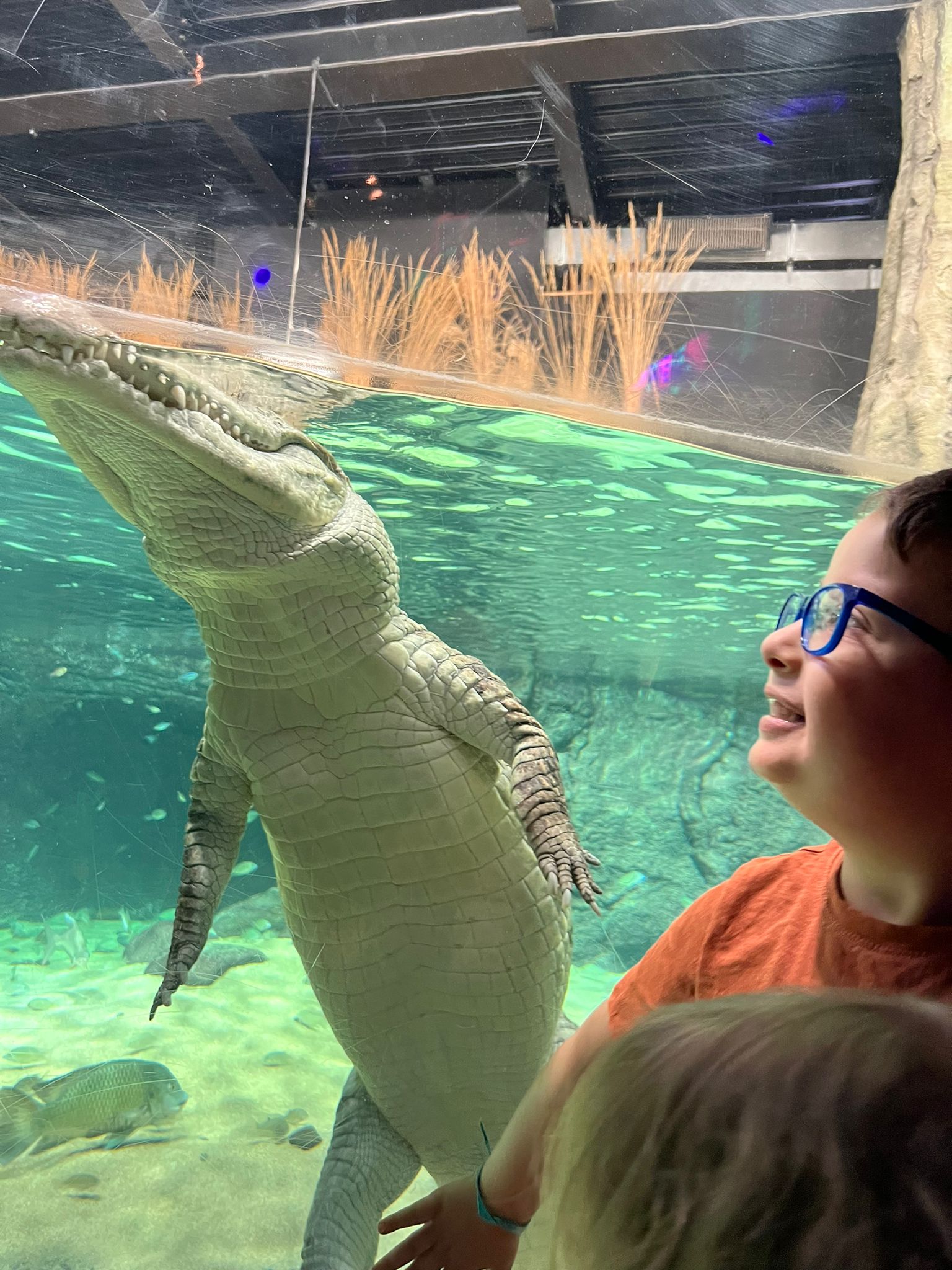 Home - Make A Wish CH